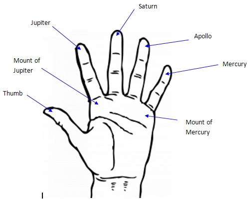 Palmistry – An Effective Career Guidance Tool – Feng Shui Consultant ...